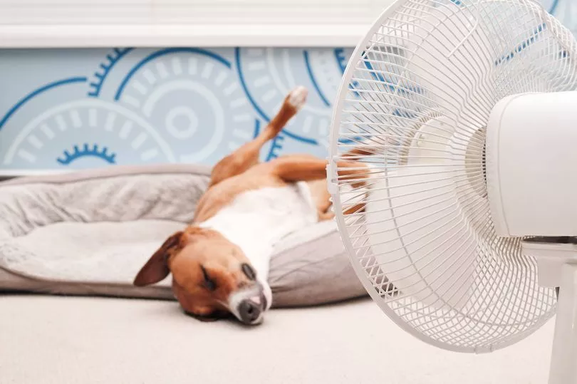 Changes to ISO’s Business Auto Coverage Form - IndependentAgent.com